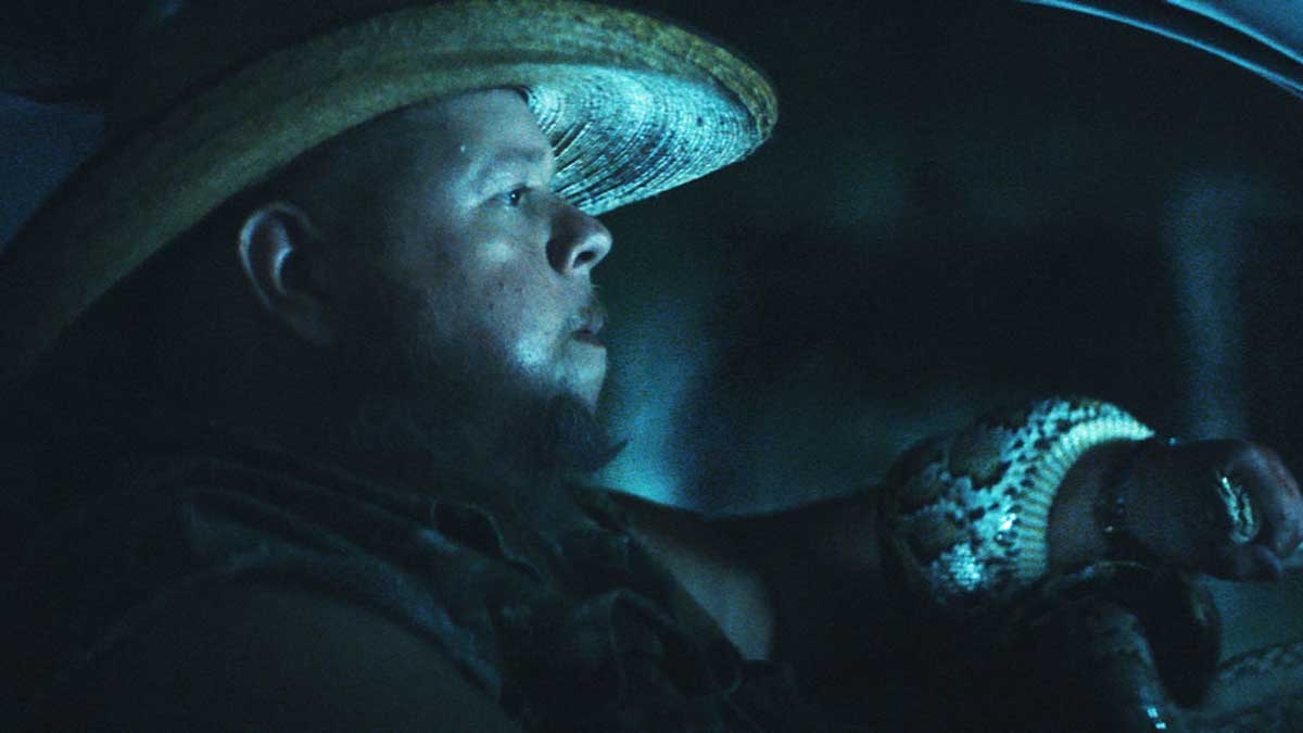 The Python Hunt (2025) | fillums